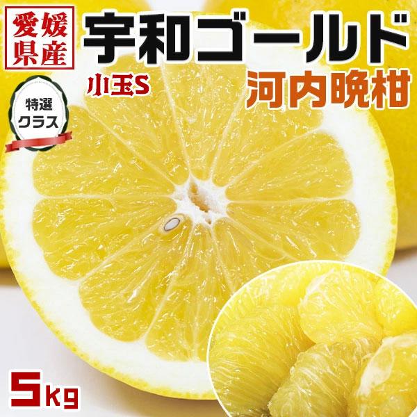 ■商品名： 宇和ゴールド みかん 特選クラス Sサイズ 約5kg 愛媛県産 河内晩柑 美生柑・手土産・お供え・ご家庭へのギフト ■お届けの目安： 土日祝を除く2〜5日前後の順次出荷予定【出荷日お任せ・指定日不可】 ※収穫状況によって申込締切...