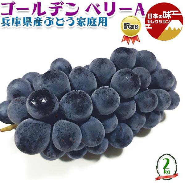 ■商品名： 訳あり ぶどう 兵庫県産 ゴールデン ベリーA 家庭用 1箱 2kg JAの正規品 葡萄 黒ぶどう クール便 果物 フルーツ プレゼント お中元 ギフト ■お届けの目安： 【予約】2026年8月上旬頃入荷予定 (出荷が遅まる事や...