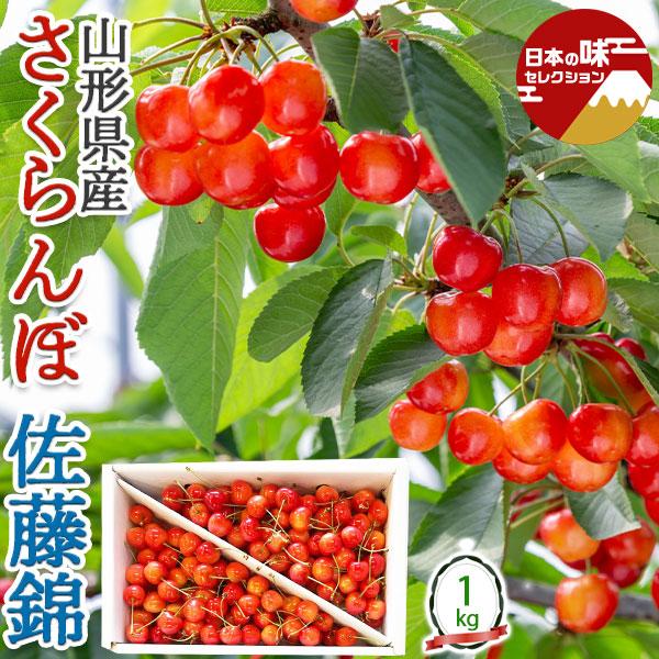 ■商品名： さくらんぼ 佐藤錦 約1kg さとうにしき 山形県産 M-Lサイズ バラ詰め 赤い宝石 サクランボ｜父の日 フルーツ お中元・お見舞い・お供え・高級果物・贈答用・ギフト ■お届けの目安： 【予約】2026年6月中旬頃入荷予定 ※...