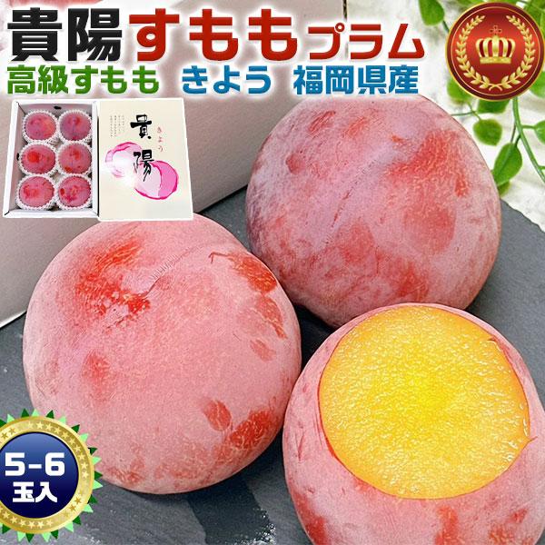 ■商品名： お中元 ギフト すもも プラム 貴陽 きよう 福岡県産 貴陽 1箱 5-6玉入 ギフト プレゼント 贈答用 ぷらむ 高級 果物 希少 フルーツ 贈物 プレゼント 贈答用 お中元 ■お届けの目安： 【予約】2026年7月上旬頃入荷...