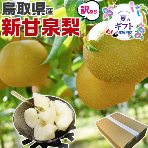 ■商品名： 鳥取 訳あり 新甘泉 梨 約5kg（6〜20玉）糖度14度前後 ご家庭用【しんかんせん鳥取県産ナシ】 お中元 家庭用 ギフト 常温便 ■お届けの目安： 【予約】2026年9月上旬頃入荷予定（指定日不可）・早まる場合や遅れる場合も...