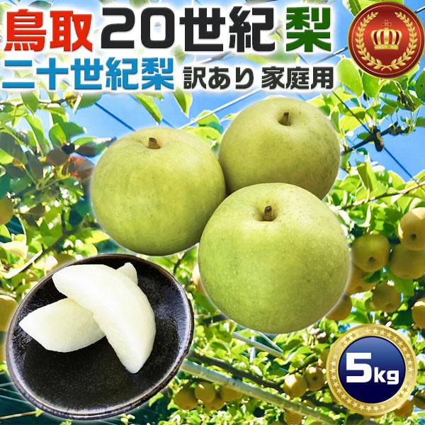 ■商品名： 鳥取 梨 20世紀梨 5kg 7〜24玉入 訳あり 家庭用 鳥取県産 二十世紀梨 家庭向けギフト 遅めのお中元【出荷日お任せ】果物 フルーツ 常温便 ■お届けの目安： 【土日祝を除く3〜7日の出荷・出荷日お任せ】 ※収穫状況によ...