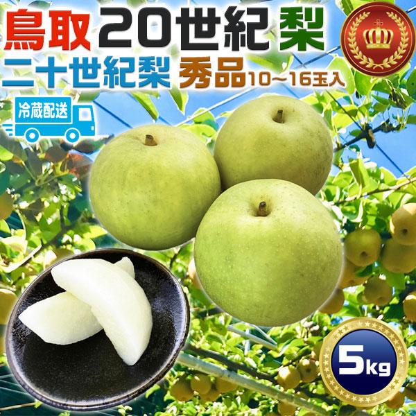 ■商品名： 鳥取 梨 20世紀梨 【クール便指定】秀品 5kg 10〜16玉入 少し大玉 鳥取県産 二十世紀梨 家庭向けギフト 遅めのお中元【出荷日お任せ】果物 フルーツ ■お届けの目安： 【土日祝を除く3〜7日の出荷・出荷日お任せ】 ※収...