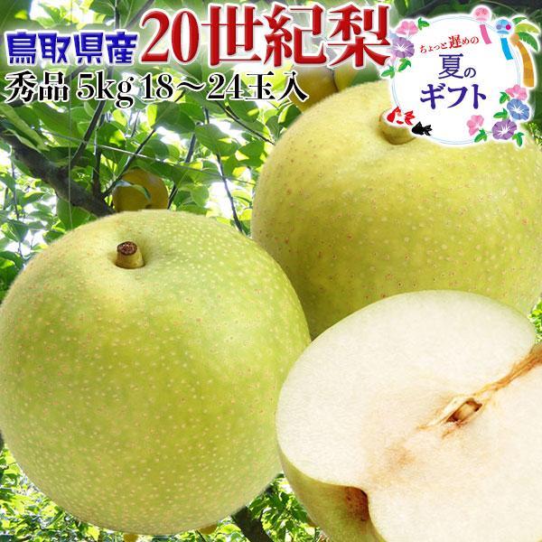 ■商品名： 鳥取県産 梨 秀品 20世紀梨 5kg 18〜24玉入 贈答用 青梨 遅めの夏ギフト・遅れてごめんねお中元・敬老の日・ギフト ■お届けの目安： 2026年8月下旬頃入荷予定（指定日不可） ※収穫状況によって申込締切・配達予定を変...