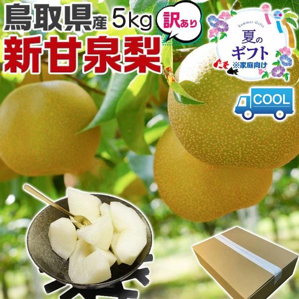 ■商品名： 【クール便指定】鳥取 訳あり 新甘泉 梨 約5kg（6〜20玉）糖度14度前後 ご家庭用【しんかんせん鳥取県産ナシ】お中元 家庭用 ギフト ■お届けの目安： 【予約】2026年9月上旬頃入荷予定（指定日不可）・早まる場合や遅れる...