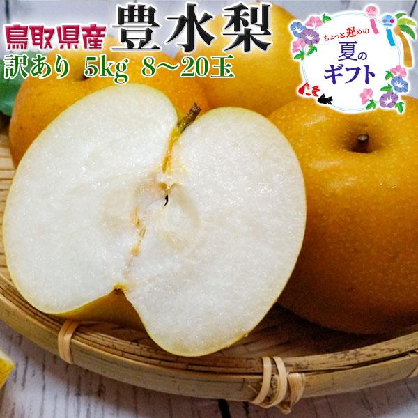 ■商品名： 鳥取県産 梨 訳あり 豊水 5kg 8〜20玉 ご家庭用 無地段ボール箱 遅めの夏ギフト・遅れてごめんねお中元・敬老の日・家庭用・ギフト ■お届けの目安： 2026年8月中旬頃入荷予定 ※指定日お届け不可 ※収穫状況によって申込...