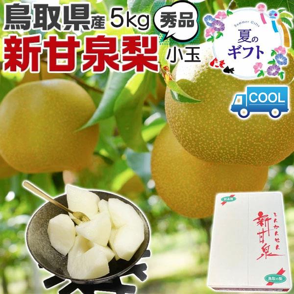 ■商品名： 【クール便指定】鳥取県産 梨 新甘泉梨 秀品 5kg 18〜22玉入 糖度14度前後 贈答用【しんかんせん鳥取県産ナシ】遅れてごめんね敬老の日・ギフト ■お届けの目安： 【予約】2026年9月上旬頃入荷予定（指定日不可）・早まる...