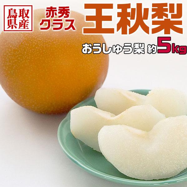 ■商品名：　鳥取県産  梨  5kg 王秋梨  赤秀クラス 贈答用    冬のギフト・お歳暮・鳥取のナシ・送料無料■お届けの目安：【予約】2025年11月上旬頃入荷予定※収穫状況によって申込締切・配達予定を変更する場合があります。※兵庫県の...