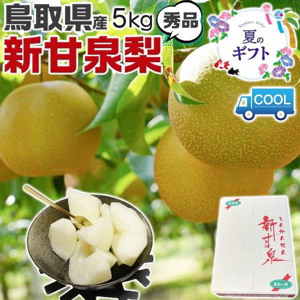 ■商品名： 【クール便指定】鳥取 新甘泉 梨 秀品 5kg 6玉〜10玉入 糖度14度前後 贈答用【しんかんせん鳥取県産ナシ】遅めの お中元 ギフト ■お届けの目安： 【予約】2026年9月上旬頃入荷予定（指定日不可）・早まる場合や遅れる場...