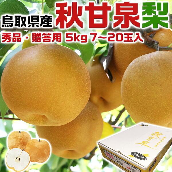 ■商品名： 【クール便指定】鳥取県産 梨 秋甘泉梨 秀品 贈答用 5kg 7〜20玉入 糖度13度前後 【あきかんせん鳥取県産ナシ】遅れてごめんね敬老の日・ギフト 今年は雨が少なく昨年より小ぶり ■お届けの目安： 2026年9月中旬頃入荷予...