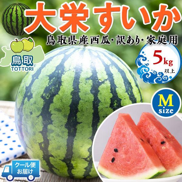 ■商品名： 訳あり 鳥取 大栄 すいか 大栄西瓜 Mサイズ 5kg以上【クール便指定】家庭用(贈答用と同じ糖度) 段ボール箱入り【鳥取県産西瓜】 お中元 ギフト  ■お届けの目安： 【予約】2026年6月中旬頃入荷予定 (出荷が早まることが...