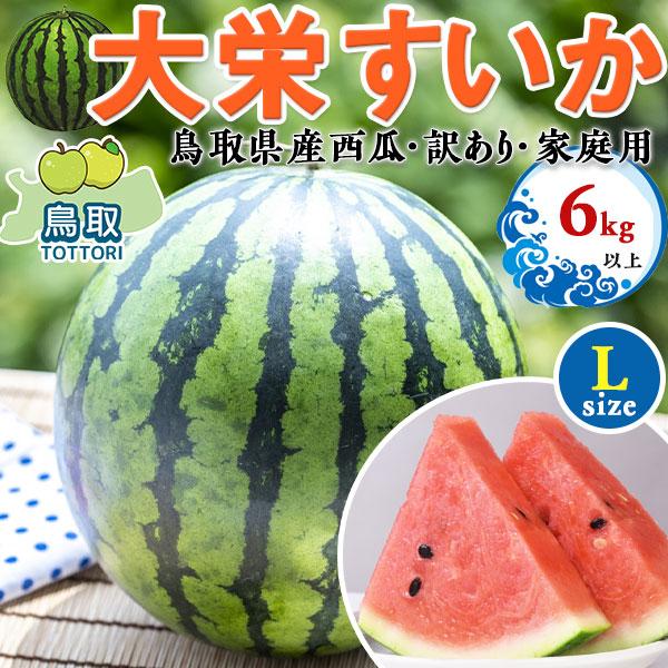 ■商品名： 訳あり 鳥取 大栄 すいか 大栄西瓜 Lサイズ 6kg以上 家庭用 (贈答用と同じ糖度) 段ボール箱入り【鳥取県産西瓜】 お中元 ギフト  ■お届けの目安： 【予約】2026年6月中旬頃入荷予定(出荷が早まることがございます) ...