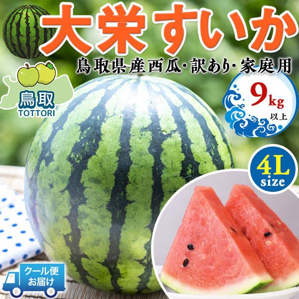 ■商品名： 訳あり 鳥取 大栄 すいか 大栄西瓜 4Lサイズ 9kg以上 家庭用 【クール便指定】 (贈答用と同じ糖度) 段ボール箱入り【鳥取県産西瓜】 お中元 ギフト  ■お届けの目安： 【予約】2026年6月中旬頃入荷予定 (出荷が早ま...