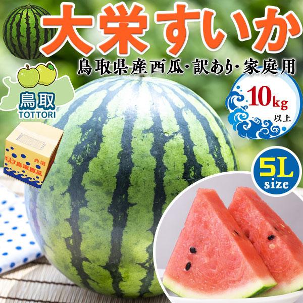 ■商品名： 訳あり 鳥取 大栄 すいか 大栄西瓜 5Lサイズ 10kg以上 家庭用 (贈答用と同じ糖度) 段ボール箱入り【鳥取県産西瓜】 お中元 ギフト  ■お届けの目安： 【予約】2026年6月中旬頃入荷予定 (出荷が早まることがございま...