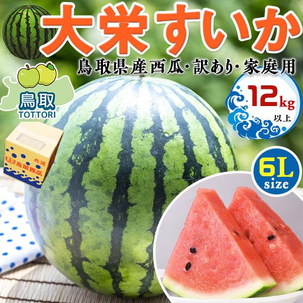 ■商品名： 訳あり 鳥取 大栄 すいか 大栄西瓜 6Lサイズ 12kg以上 家庭用 (贈答用と同じ糖度) 段ボール箱入り【鳥取県産西瓜】 お中元 ギフト  ■お届けの目安： 【予約】2026年6月中旬頃入荷予定 (出荷が早まることがございま...