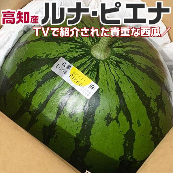 ■商品名： すいか TVで紹介！ ルナピエナ 西瓜 スイカ 約5kg〜7kg 中玉サイズ 高知県産 【常温便指定】金時 TVで紹介された貴重なすいか 高級スイカ ギフト 贈答用 贈物 フルーツ 父の日 お中元  ■お届けの目安： 土日祝日を...