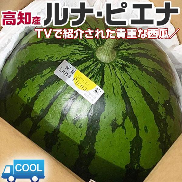 ■商品名： すいか TVで紹介！ ルナピエナ 西瓜 スイカ 約5kg〜7kg 中玉サイズ 高知県産 【クール便指定】金時 TVで紹介された貴重なすいか 高級スイカ ギフト 贈答用 贈物 フルーツ 父の日 お中元  ■お届けの目安： 土日祝日...