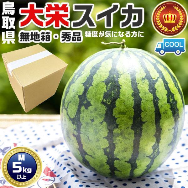 ■商品名： 鳥取 大栄 すいか 秀品 贈答用 Mサイズ 5kg 以上【クール便指定】無地段ボール箱入り【鳥取県産】 お中元 家庭用 大栄西瓜 ギフト ■お届けの目安： 【予約】2026年6月中旬頃入荷予定 (出荷が早まることがございます) ...