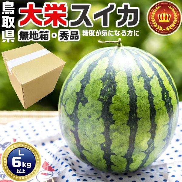 ■商品名： 鳥取 大栄 すいか 秀品 贈答用 Lサイズ 6kg 以上 無地段ボール箱入り【鳥取県産】 お中元 家庭用 大栄西瓜 ギフト ■お届けの目安： 【予約】2026年6月中旬頃入荷予定 (出荷が早まることがございます) ※収穫状況によ...