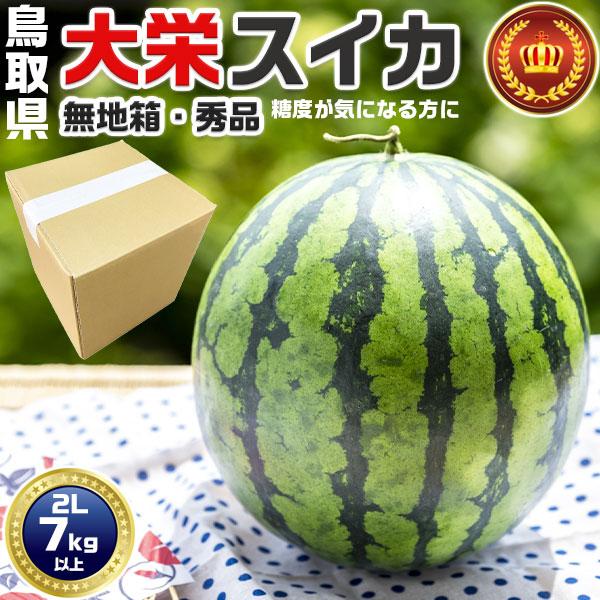 ■商品名： 鳥取 大栄 すいか 秀品 贈答用 2Lサイズ 7kg 以上 無地段ボール箱入り【鳥取県産】 お中元 家庭用 大栄西瓜 ギフト ■お届けの目安： 【予約】2026年6月中旬頃入荷予定 (出荷が早まることがございます) ※収穫状況に...