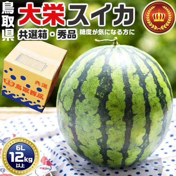 ■商品名： 鳥取 大栄 すいか 秀品 贈答用 6Lサイズ 12kg 特大 無地段ボール箱入り【鳥取県産】 お中元 家庭用 大栄西瓜 ギフト ■お届けの目安： 【予約】2026年6月中旬頃入荷予定 (出荷が早まることがございます) ※収穫状況...