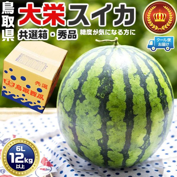 ■商品名： 鳥取 大栄 すいか 秀品 贈答用 6Lサイズ 12kg 特大【クール便指定】段ボール箱入り【鳥取県産】 お中元 家庭用 大栄西瓜 ギフト ■お届けの目安： 【予約】2026年6月中旬頃入荷予定 (出荷が早まることがございます) ...