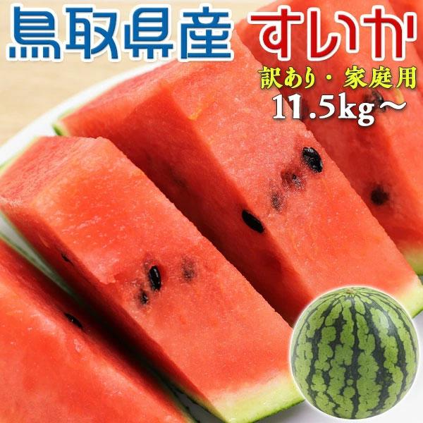 ■商品名： 鳥取県産 スイカ 11.5kg以上 超特大玉 1玉 訳あり・家庭用 段ボール箱入り【鳥取県産西瓜】お中元・家庭用・すいかギフト ■お届けの目安： 【予約】2026年7月中旬頃入荷予定 (出荷が早まることがございます) ※収穫状況...
