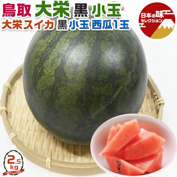 ■商品名： 鳥取 大栄すいか 大栄 黒小玉 西瓜 2Lサイズ 1玉入 2.5kg 段ボール箱入り【糖度検査済み・鳥取県産西瓜】敬老の日・遅れてごめんね敬老の日・すいかギフト ■お届けの目安： 土日祝を除く3〜7日前後の出荷予定【出荷日お任せ...
