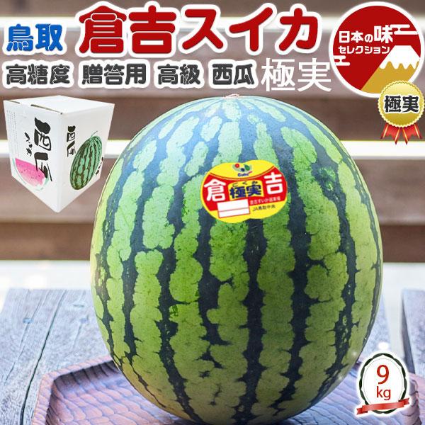■商品名：夏ギフト 大玉 すいか 鳥取県 倉吉 西瓜 極実 ごくみ 9kg以上 希少 限定 高糖度 ｜段ボール 贈答用 ギフト 高級フルーツ 果物 贈物 プレゼント ■お届けの目安： 【予約】2026年7月下旬頃入荷予定 ※本商品は非常に希...