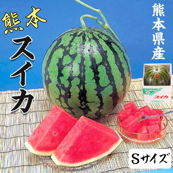 ■商品名： スイカ 熊本県産 1箱Sサイズ・4kg(1玉) 高級すいか/等級：秀(赤) 贈答用 ギフト ■お届けの目安：3-7営業日前後で出荷予定 ※収穫状況によって申込締切・配達予定を変更する場合があります。 ※産地「直送品」となります。...