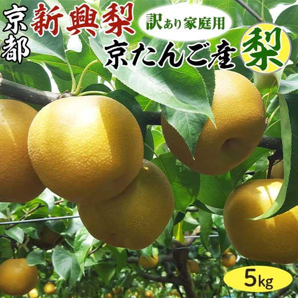 ■商品名： 新興 梨 京たんご産 訳あり ナシ 5kg (7-12個)【家庭用】京都府京丹後市産 高級ギフト K農園限定 限定口数 フルーツ 果物 ■お届けの目安： 2026年10月上旬頃入荷予定（指定日不可）・早まる場合や遅れる場合もござ...