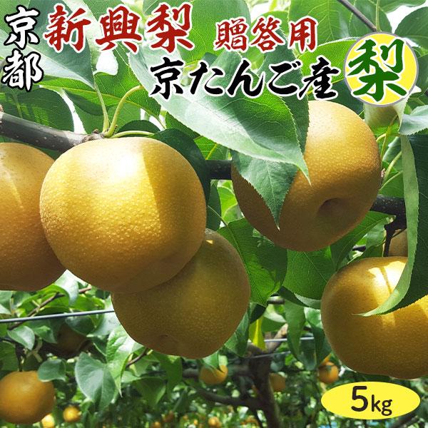 ■商品名： 新興 梨 京たんご産 ナシ 5kg (7-12個)【贈答用】京都府京丹後市産 高級ギフト K農園限定 限定口数 フルーツ 果物 ■お届けの目安： 2026年10月上旬頃入荷予定（指定日不可）・早まる場合や遅れる場合もございます。...