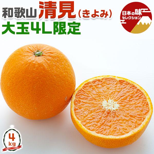 ■商品名： 和歌山 清見 オレンジ 4kg 大玉 4Lサイズ限定 きよみ タンゴール 品種 農園・生産者から出荷 【出荷日お任せ・指定日不可】紀州 バレンタイン 果物 柑橘 生果 フルーツ  ■お届けの目安： 土日祝を除く2〜5日前後の順次...