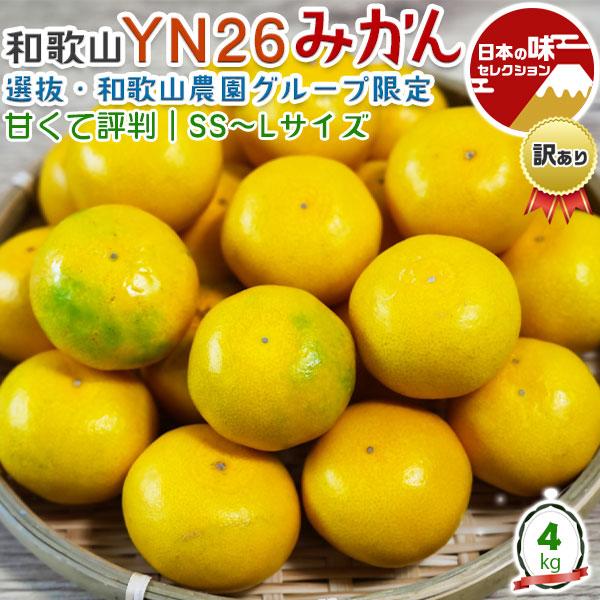 ■商品名： みかん YN26 4kg 訳あり SS〜Lサイズ混合 小玉 和歌山県産 甘くて評判 産地直送 農園 生産者から出荷 海南市下津町から【出荷日お任せ・指定日不可】 敬老の日 完熟 果物 柑橘 蜜柑 フルーツ  ■お届けの目安： 9...