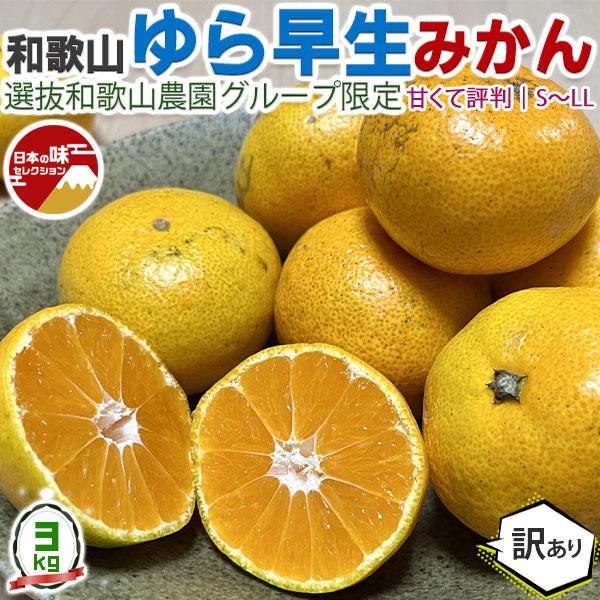 ■商品名： ゆら早生 みかん 由良早生 3kg 訳あり S〜LLサイズ混合 和歌山県産 甘くて評判 産地直送 農園 生産者から出荷 海南市下津町から【出荷日お任せ・指定日不可】 敬老の日 完熟 果物 柑橘 蜜柑 フルーツ  ■お届けの目安：...