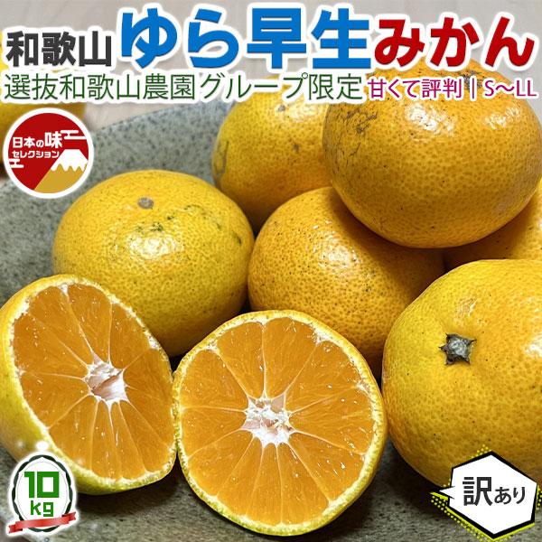 ■商品名： ゆら早生 みかん 由良早生 10kg 訳あり S〜LLサイズ混合 和歌山県産 甘くて評判 産地直送 農園 生産者から出荷 海南市下津町から【出荷日お任せ・指定日不可】 敬老の日 完熟 果物 柑橘 蜜柑 フルーツ  ■お届けの目安...