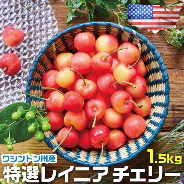 ■商品名： さくらんぼ アメリカン チェリー フルーツ 人気 大粒 果物 ギフト 特選レイニア チェリー 1.5kg ワシントン州産 百貨店品質 高糖度 高級レーニアチェリー お中元 00014K ■お届けの目安： 【6月20日〜8月9日の...