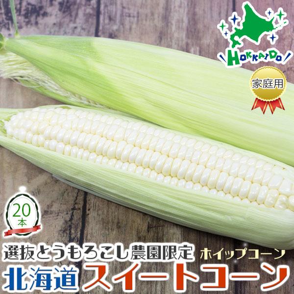 ■商品名： お中元 スイートコーン 北海道 産 とうもろこし ホワイトコーン (ホイップコーン) 20本セット(10本入り箱×2箱) 人気品種 北海道から産地直送 高級コーン シルバーコーン (8月中旬〜9月中旬収穫・出荷) 夏ギフト 朝ど...