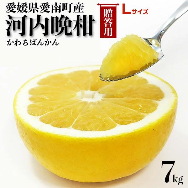 ■商品名： 愛媛 河内晩柑 7kg Lサイズ指定 秀品・ギフト用 宇和ゴールド同品種 かわちばんかん 愛媛県愛南町産 柑橘みかん 果物 フルーツ 贈答用ギフトにも ■お届けの目安： 土日祝を除く2〜5日前後の出荷予定 ※収穫によって遅れる場...