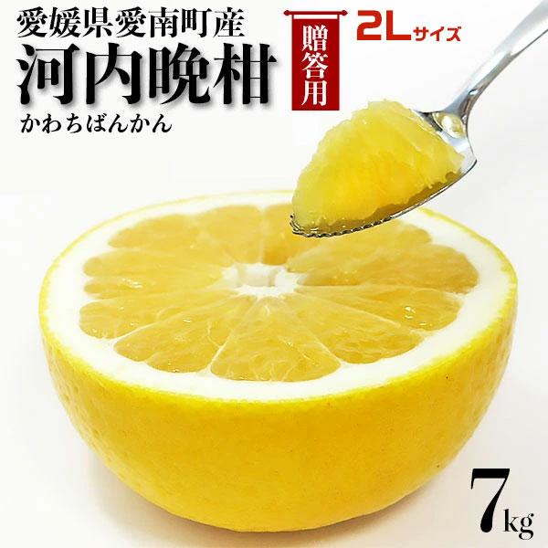 ■商品名： 愛媛 河内晩柑 7kg 2Lサイズ指定 秀品・ギフト用 宇和ゴールド同品種 かわちばんかん 愛媛県愛南町産 柑橘みかん 果物 フルーツ 贈答用ギフトにも ■お届けの目安： 土日祝を除く2〜5日前後の出荷予定 ※収穫によって遅れる...