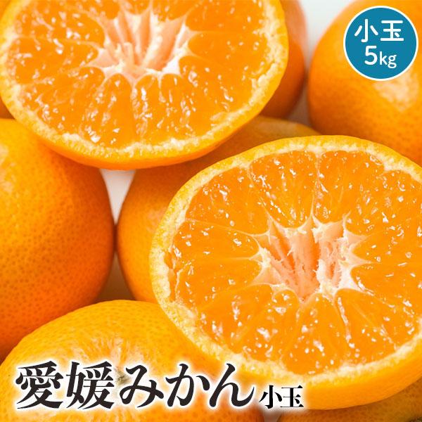 ■商品名：愛媛みかん 小玉　5kg　2S〜Sサイズ混合 訳あり【出荷日お任せ・指定日不可】愛媛県宇和島産　送料無料■お届けの目安：　【出荷日お任せ・指定日不可】　収穫次第順次出荷※離島・沖縄・北海道は配送不可※収穫によって遅れる場合がござい...