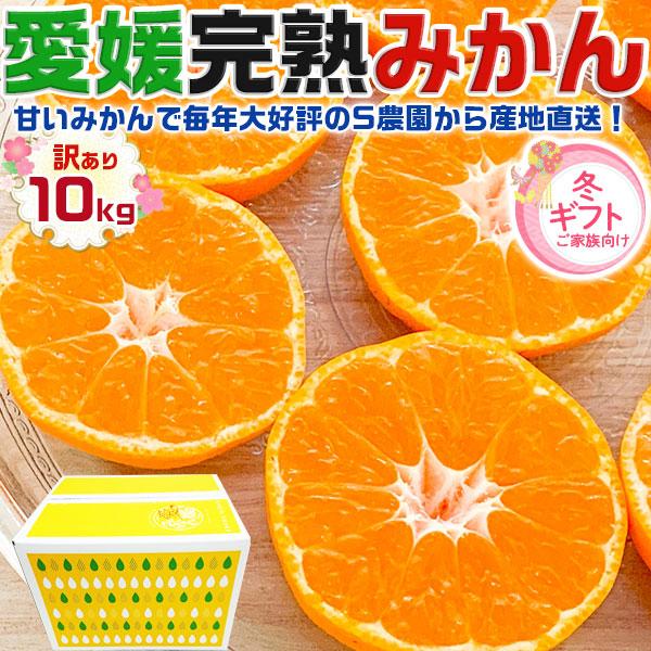 ■商品名：　完熟　愛媛 みかん　訳あり　箱買い　10kg　1箱　サイズ混合【出荷日お任せ・指定日不可】 愛媛県産　みかん・家庭用　柑橘　お買得　フルーツ　温州みかん　送料無料■お届けの目安：　2-5営業日前後で出荷予定【出荷日お任せ・指定日...