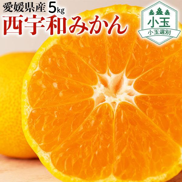 ■商品名：　愛媛　西宇和みかん　小玉　5kg　2S〜Sサイズ混合【出荷日お任せ・指定日不可】愛媛県・西宇和産　送料無料■お届けの目安：　2-5営業日前後の出荷予定　【出荷日お任せ・指定日不可】※離島・沖縄・北海道は配送不可※収穫によって遅れ...