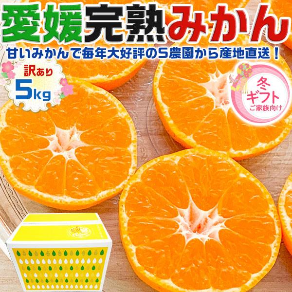 ■商品名：　完熟　愛媛 みかん　訳あり　箱買い　5kg　1箱　サイズ混合【出荷日お任せ・指定日不可】 愛媛県産　みかん・家庭用　柑橘　お買得　フルーツ　温州みかん　送料無料■お届けの目安：　【出荷日お任せ・指定日不可】　収穫次第順次出荷※離...