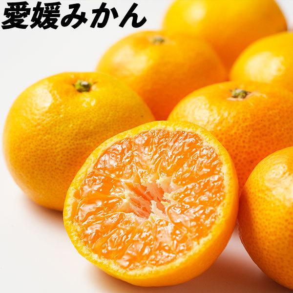 ■商品名：【厳選】愛媛県　完熟みかん　訳あり　5kg 【出荷日お任せ・指定日不可】(サイズ混合・家庭用)　送料無料■お届けの目安：　2〜5日前後の出荷予定　※受付順・指定不可【出荷日お任せ・指定日不可】※離島・沖縄・北海道は配送不可※収穫に...