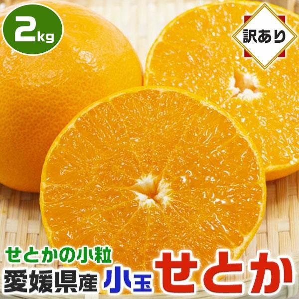■商品名： せとか みかん 小玉 2S〜Mサイズ 訳あり 家庭用 2kg 1箱 お買得 愛媛県産 ２キロ ギフト みかん (紅マドンナ・甘平と並ぶ高級柑橘) 出荷日お任せ 指定日不可 ■お届けの目安： 土日祝を除く2〜5日前後の順次出荷予定...