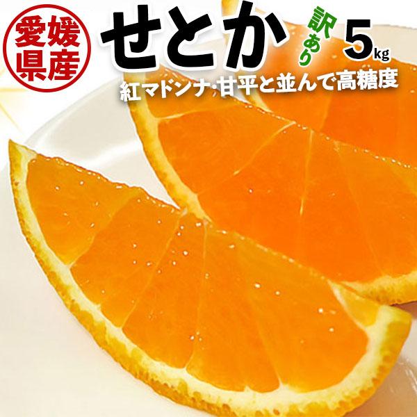 ■商品名： せとか みかん 訳あり サイズお任せ 訳×訳 5kg アウトレット 規格外品 1箱 【愛媛の厳選農園限定】5キロ ご家庭向けギフト サイズお任せ (紅マドンナ・甘平と並ぶ高級柑橘)【出荷日お任せ・指定日不可】 ■お届けの目安： ...