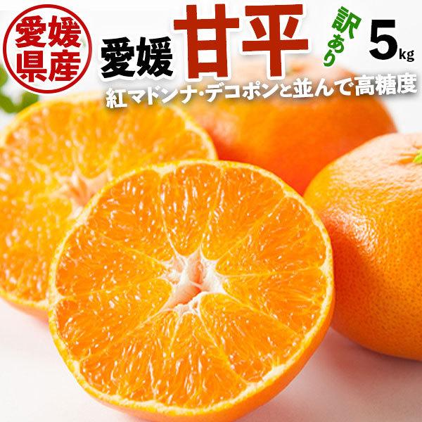 ■商品名：　甘平 (かんぺい) みかん  5kg　訳あり　小傷あり 家庭用　2L〜4Lサイズ限定 お買得価格　愛媛県産【紅マドンナと並ぶ高糖度・高級柑橘】【出荷日お任せ・指定日不可】送料無料　SMC■お届けの目安：3-7営業日前後の出荷予定...