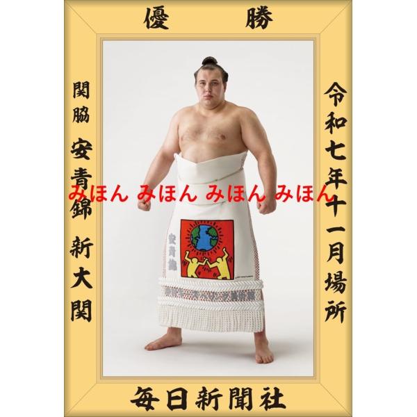 商品名：安青錦 新大 関　優勝ミニ額 大相撲 ミニ額 大相撲 優勝額　令和７（２０２５）年１１月場所 優勝 関脇 安青錦 関（５回目） 相撲グッズ　国技館　限定品　記念品　コレクション　写真　優勝記念　お相撲さん　力士　送料無料商品説明：令...