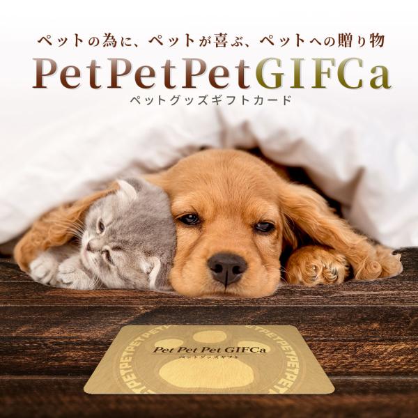 【ペットペットペットギフカ】犬好きなあの人に、猫を愛してやまない友達に、あげたいけどあげれなかったペットグッズを贈りましょう。可愛い首輪があったやこのおもちゃで遊んでもらいたい！なんてペット好きからペット好きにあげたいと思ったけど「全然遊ば...